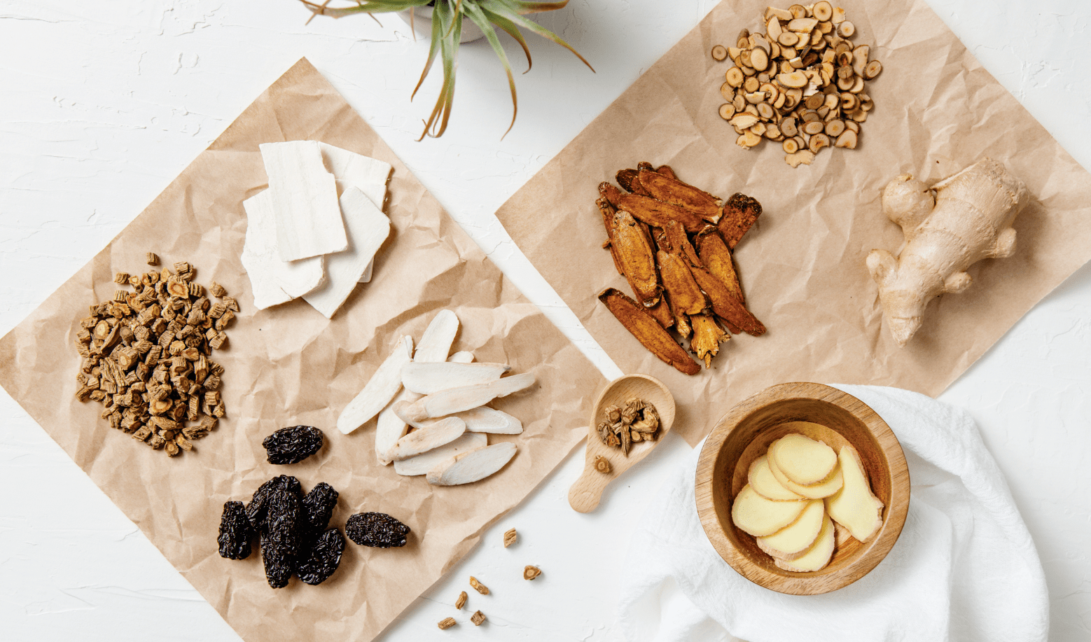 KHT Herbs & Goods