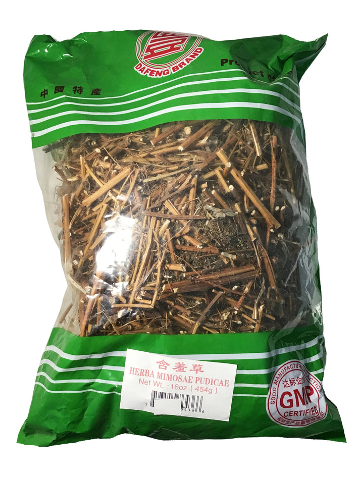 Han Xiu Cao (Herba Mimosae Pudicae) - 含羞草 (hán xiū cǎo) – KHT Herbs & Goods